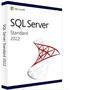 Microsoft Sql Server Standard 2022 KaBuM